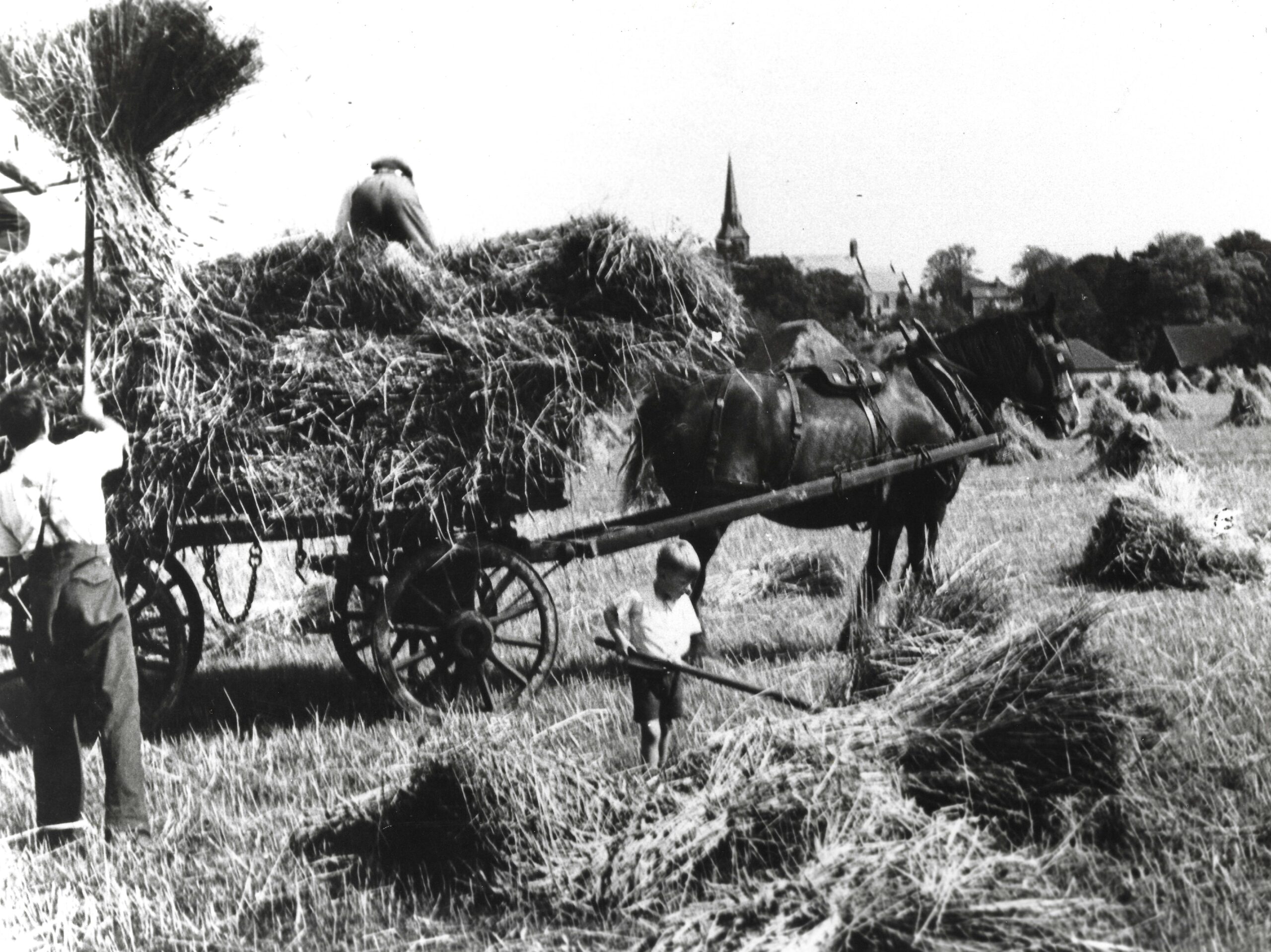 History - Washbrooks Family Farm