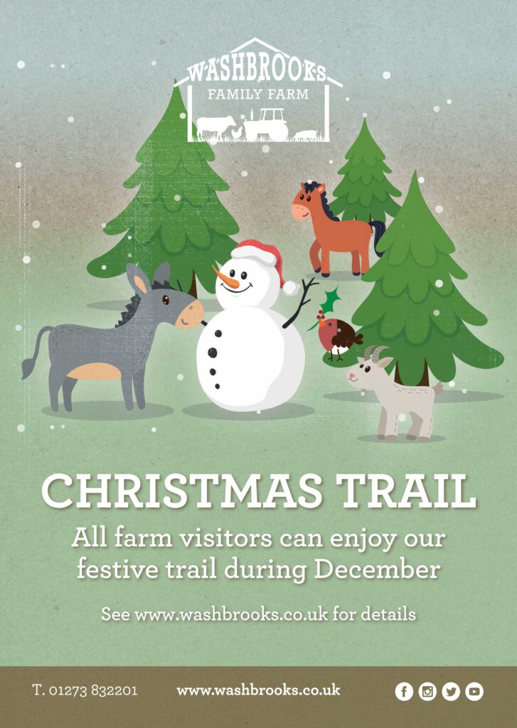 Christmas Trail - Washbrooks Family Farm