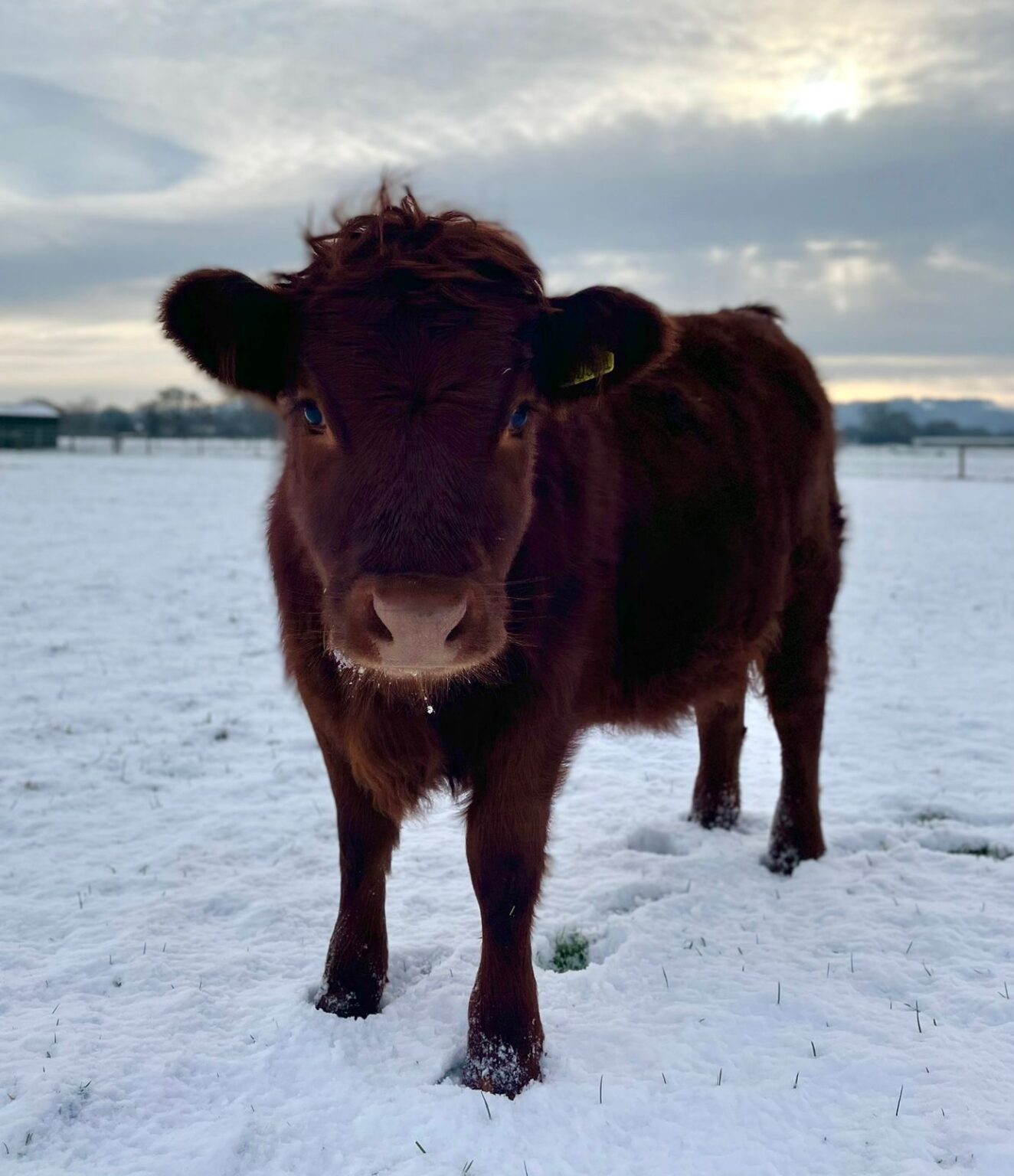 Whats On - Washbrooks Family Farm